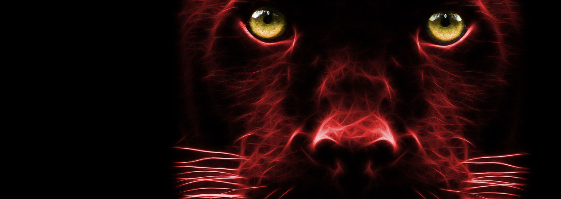 Tienda – Pantera Roja Boutique